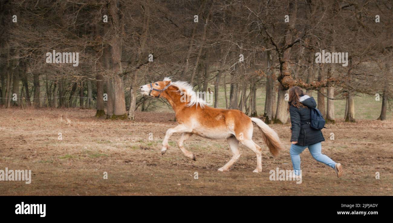 A scenery of a girl running with a beautiful horse in the pasture Stock ...
