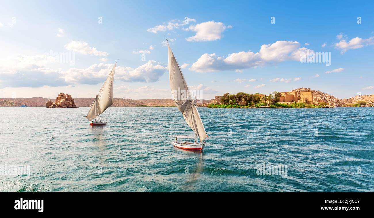 sailboat, egypt, nile river, agilkia, sailboats, sailing, sailing boat ...