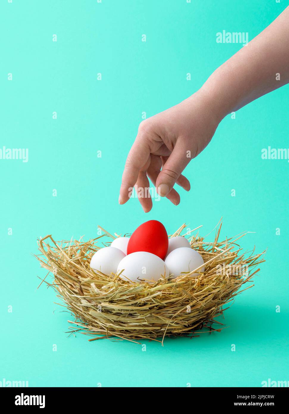 easter egg, chicken egg, unique, easter eggs, chicken eggs, uniques ...