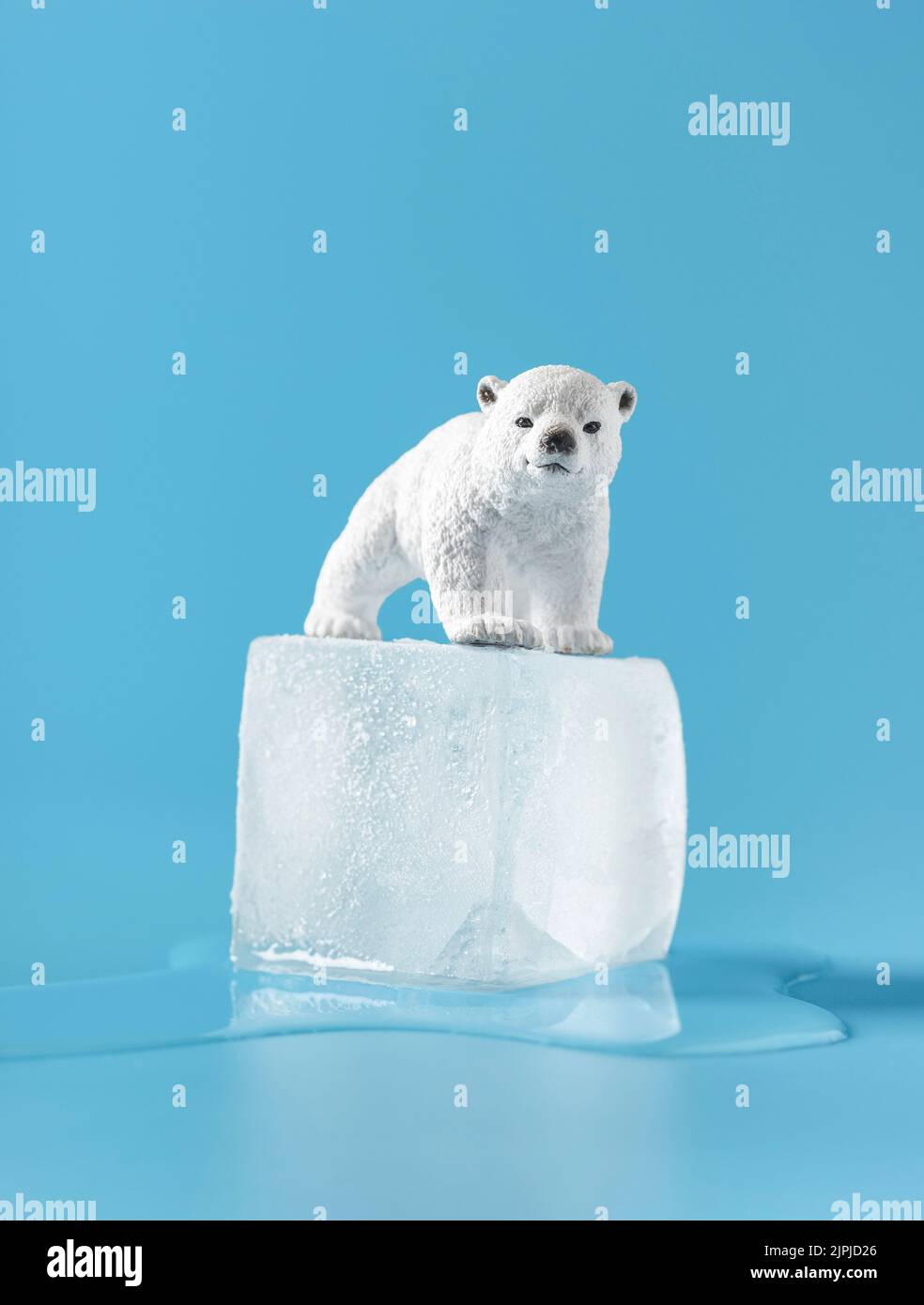 destruction, habitat, polar bear, global warming, melting ice ...