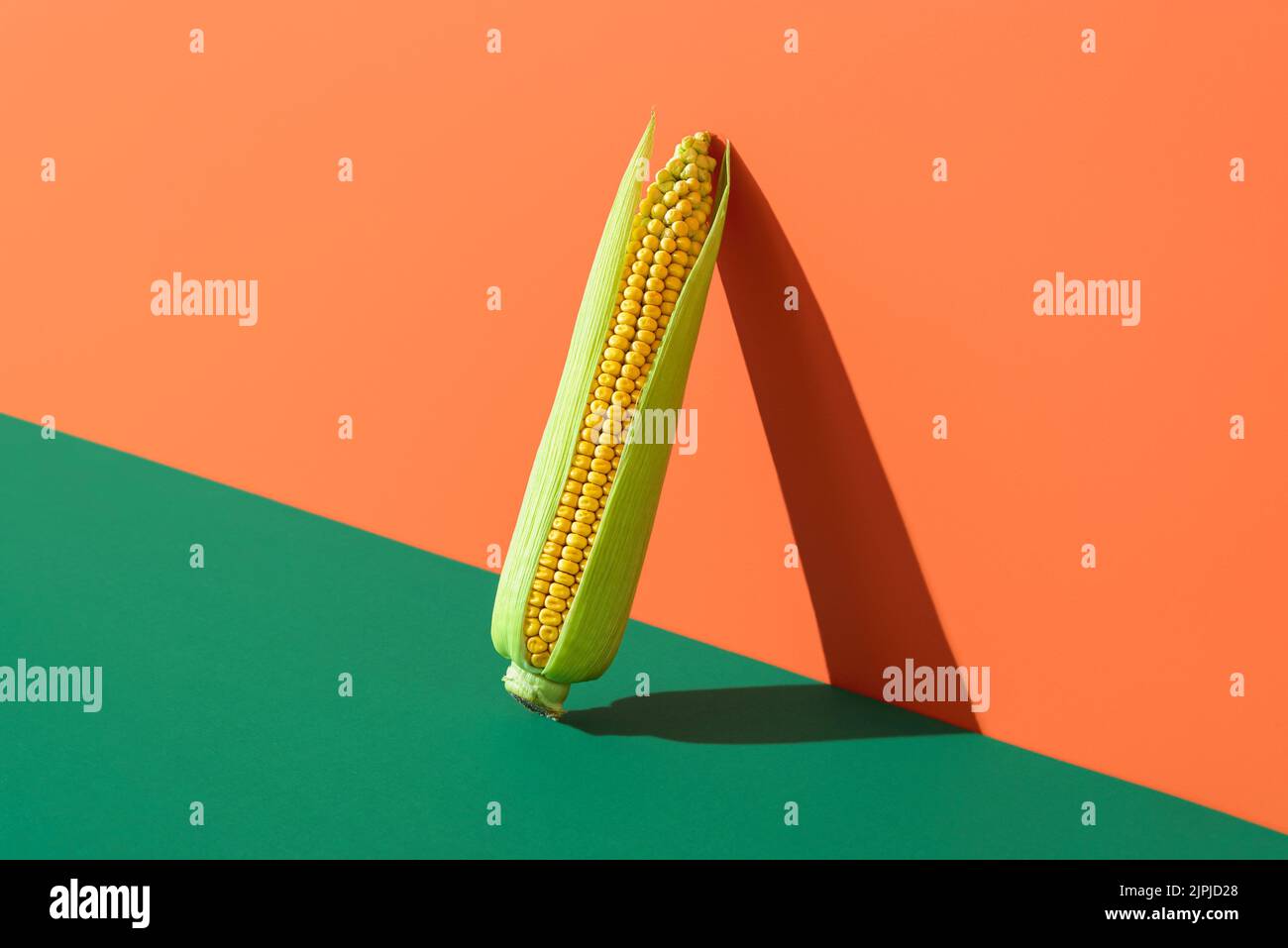 shadow, maize cob, shadows, corn on the cobs Stock Photo - Alamy
