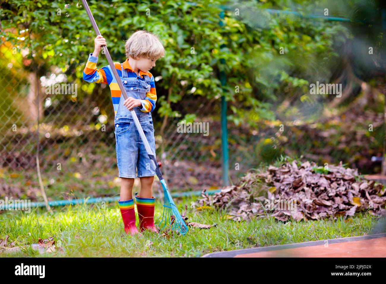 Child and rake in autumn garden. Kid raking leaves in fall. Gardening ...