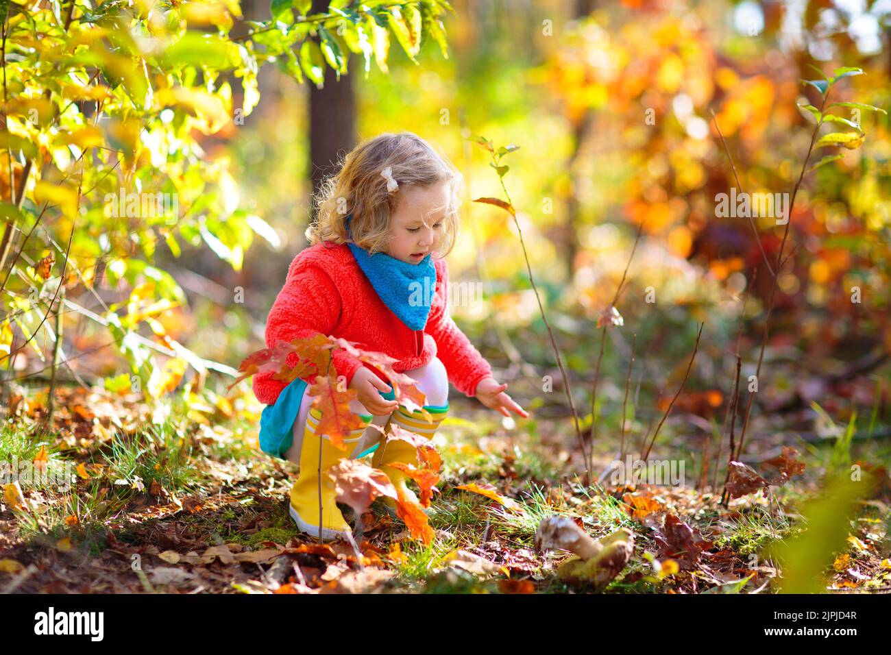 Kids play in autumn park. Family fun in fall season. Little girl ...