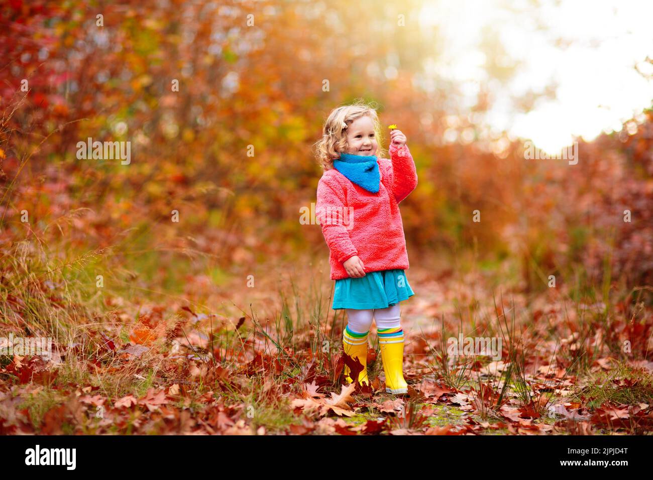 Kids play in autumn park. Family fun in fall season. Little girl ...