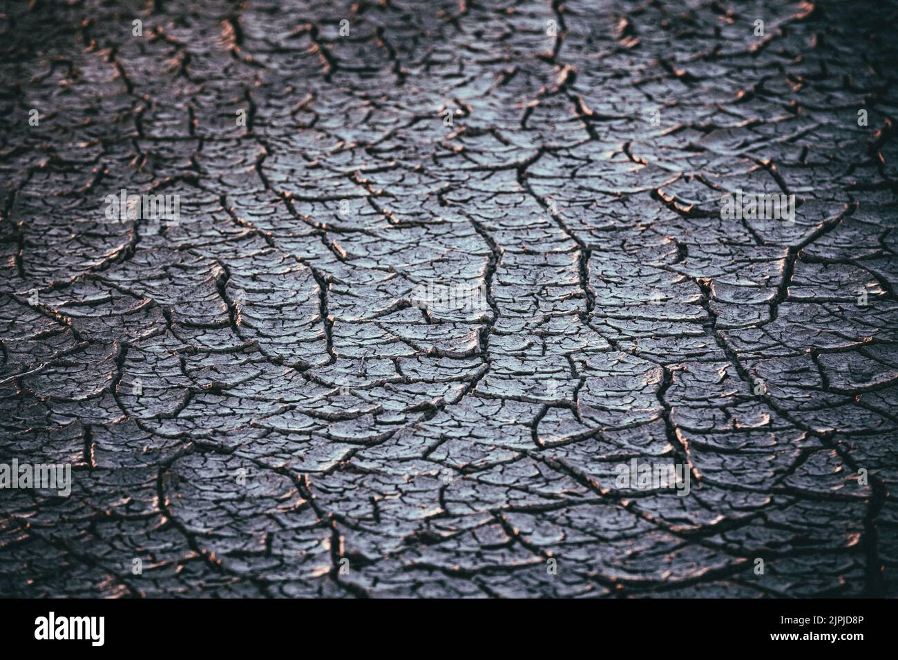 Dry dirt pattern of De-Na-Zin Wilderness Stock Photo - Alamy