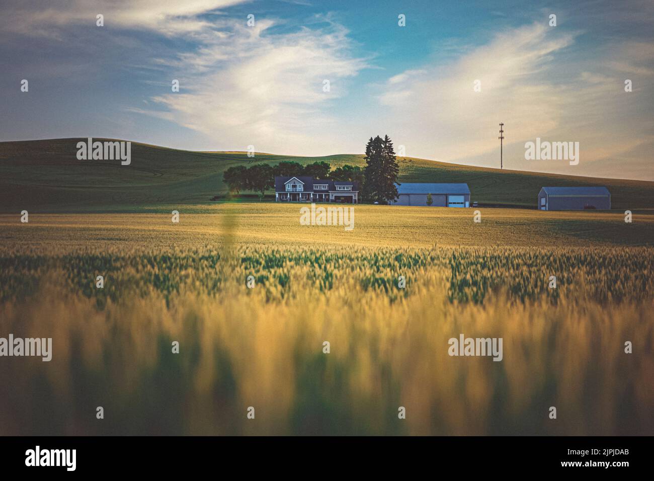 A farm house, Palouse, Eastern Washington Stock Photo - Alamy