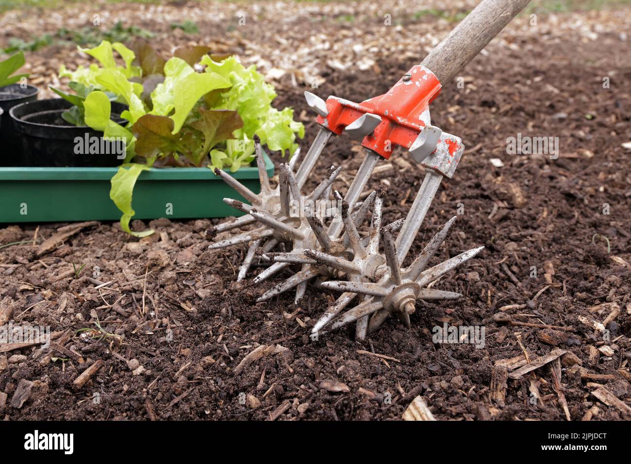 ground, loosen, gartenfräse, grounds, loosens Stock Photo - Alamy