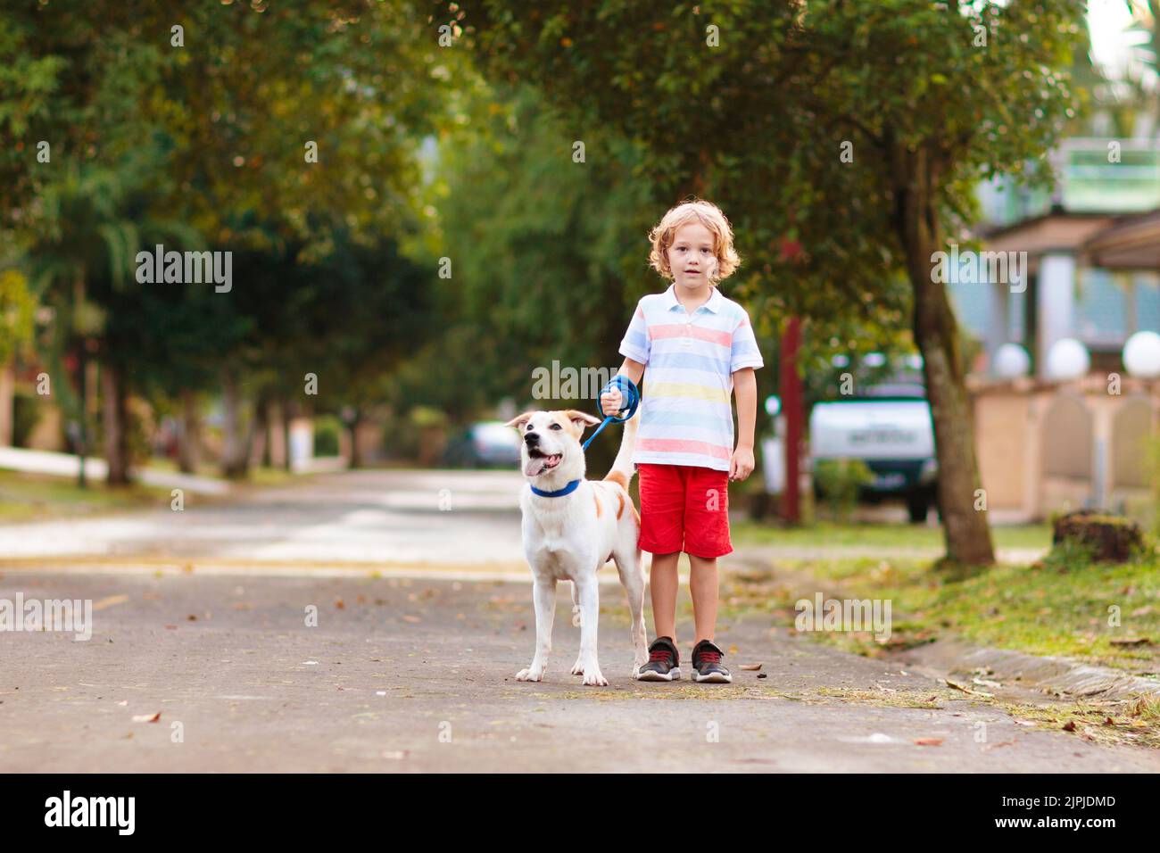 Child walking dog. Kid playing with cute puppy. Little boy running with ...