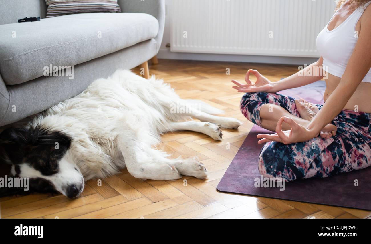 woman doing yoga at home healthy lifestyle Stock Photo - Alamy