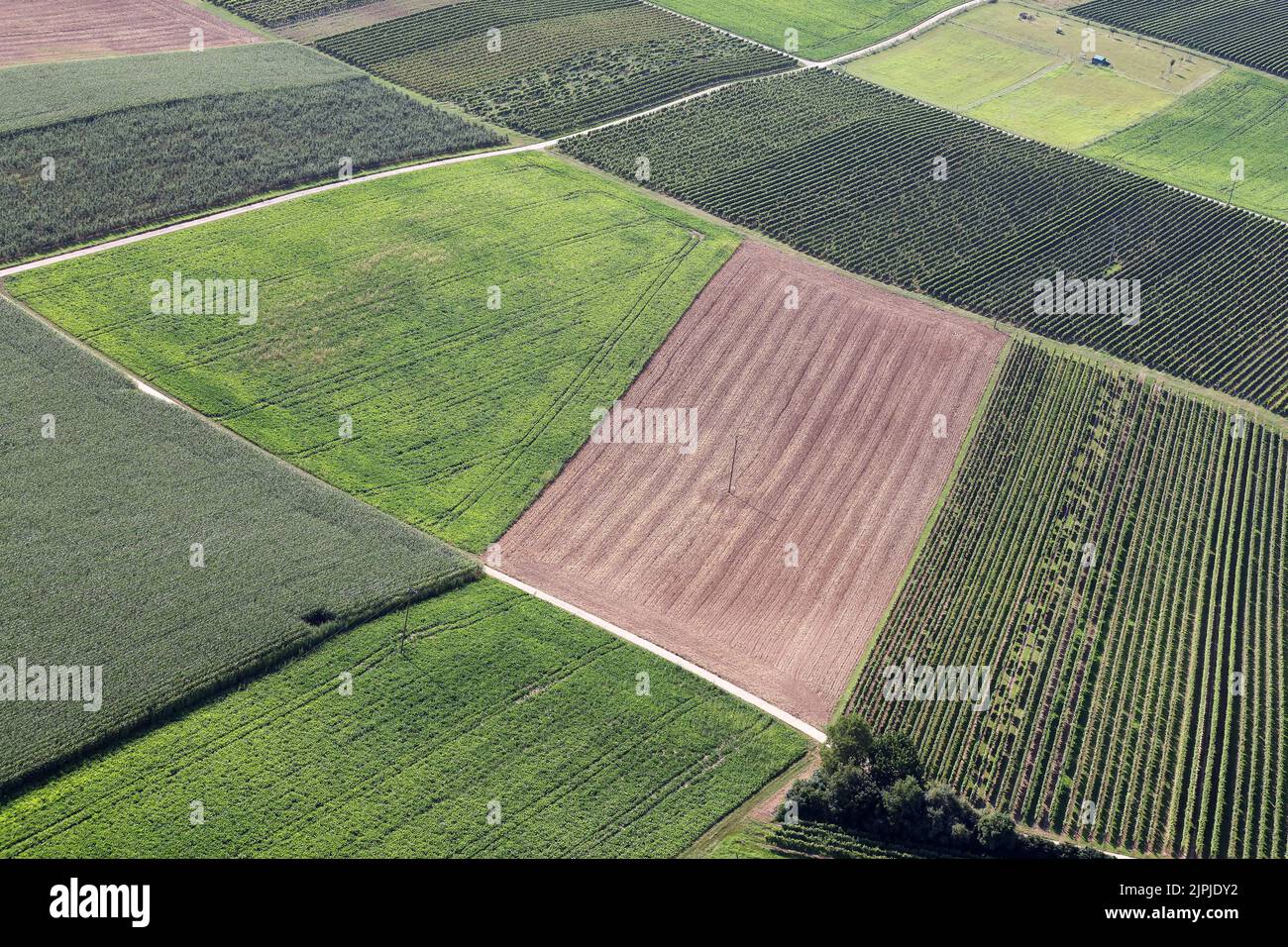 arable, farmland, fields, drohnenflug, arables, farmlands, field Stock ...