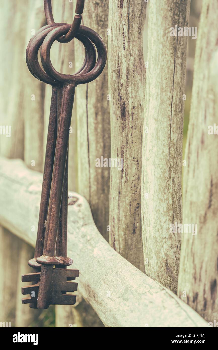 key, vintage, keys, vintage print, vintages Stock Photo - Alamy