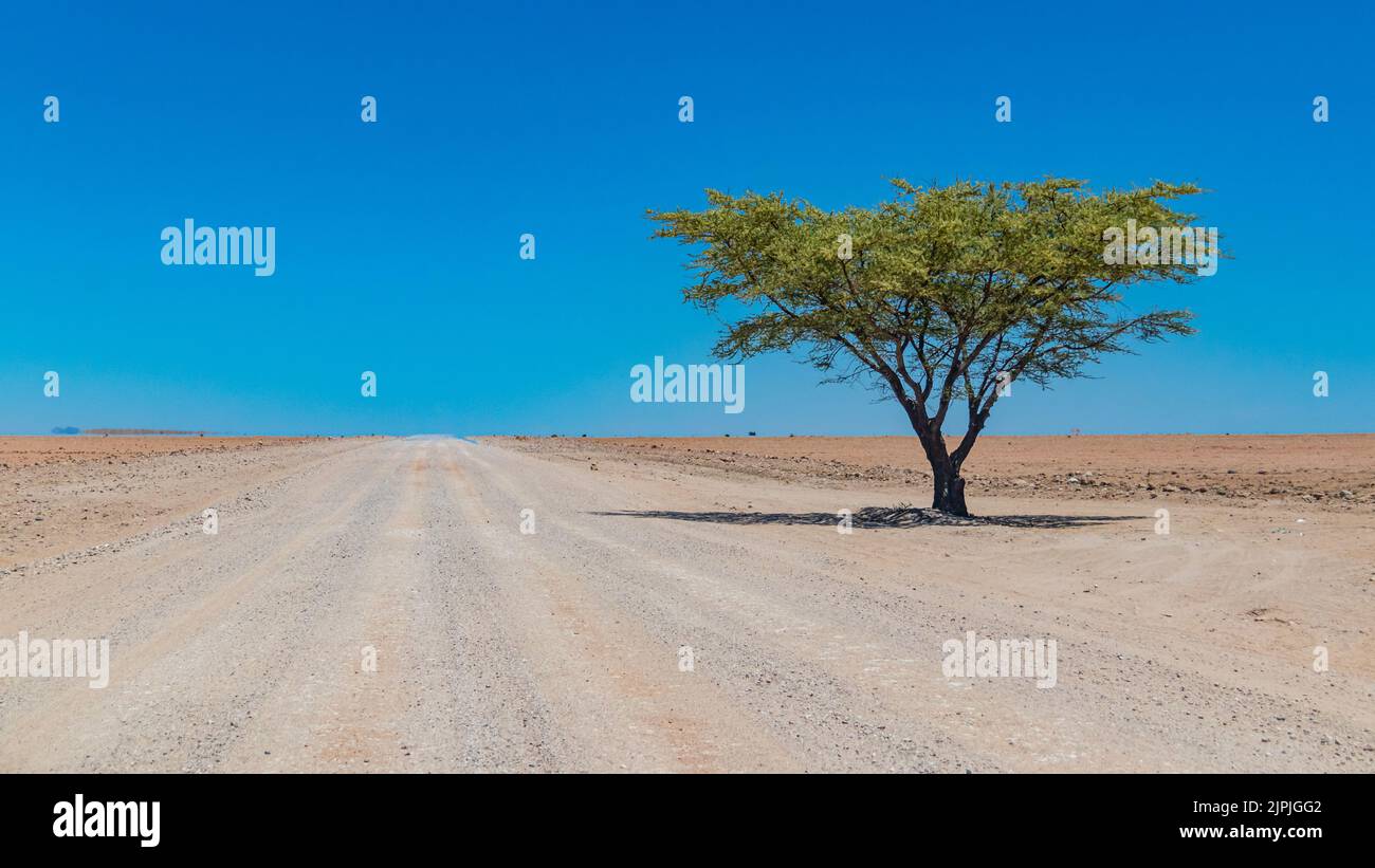 desert, namibia, gravel street, deserts, wüste, namibias, gravel ...
