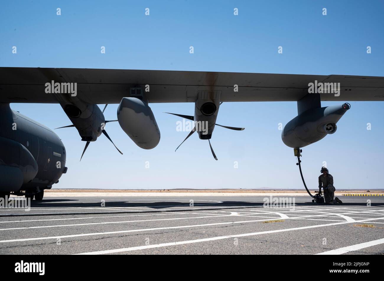 Agile eagle king hi-res stock photography and images - Alamy