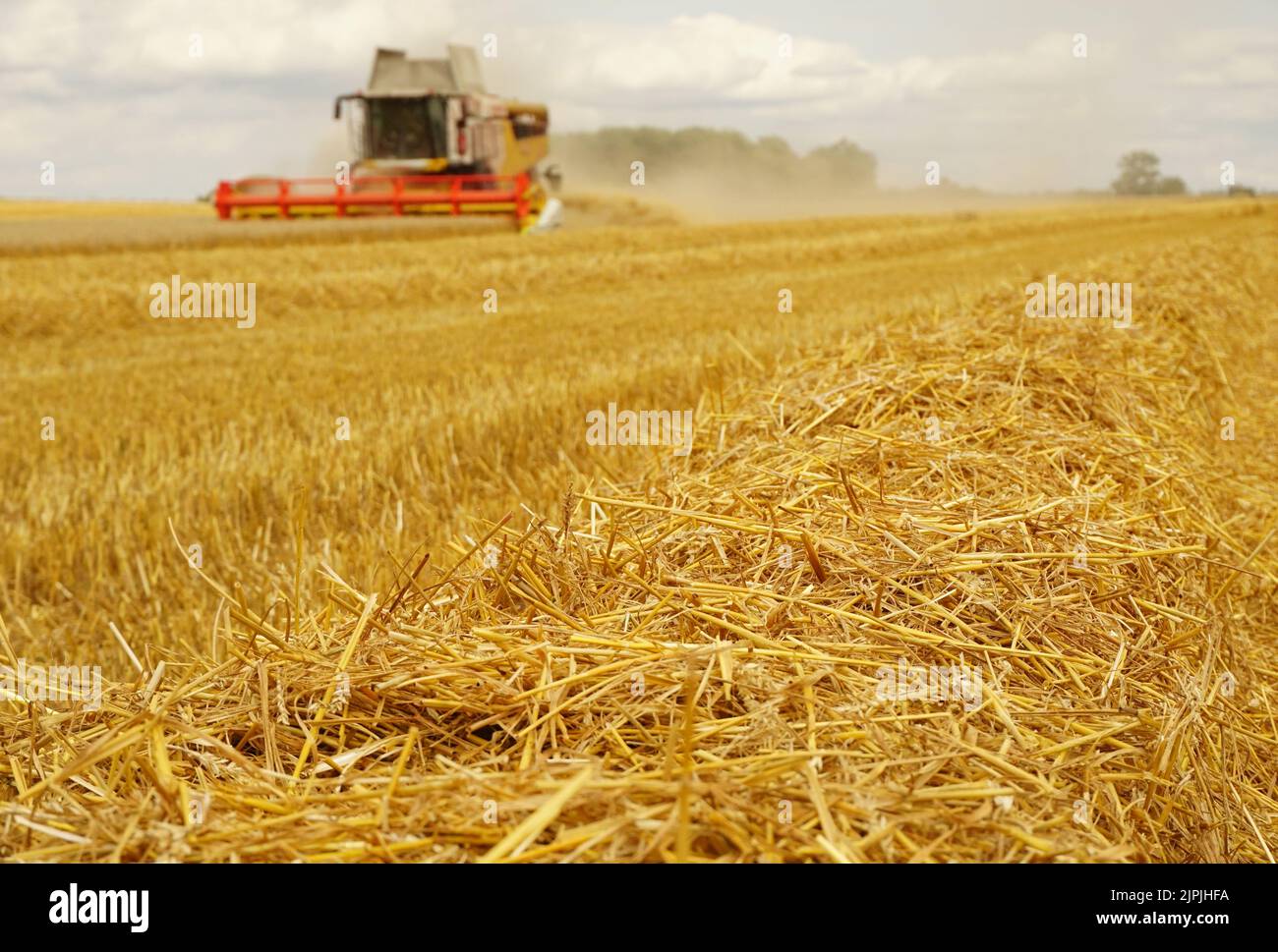 straw, grain harvest, wheat field, straws, grain harvests, wheat fields ...