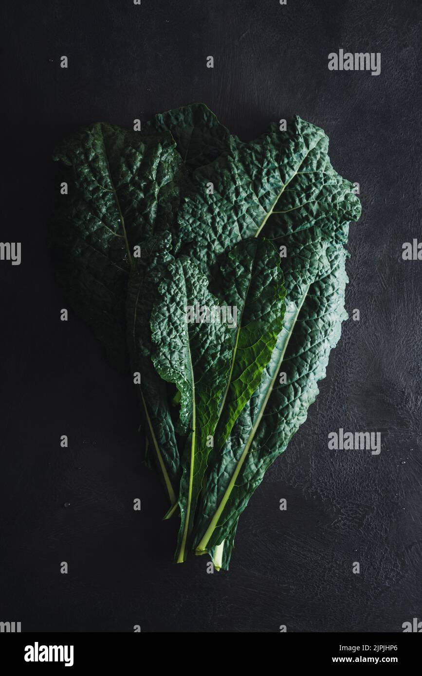 Palmkohl hi-res stock photography and images - Alamy