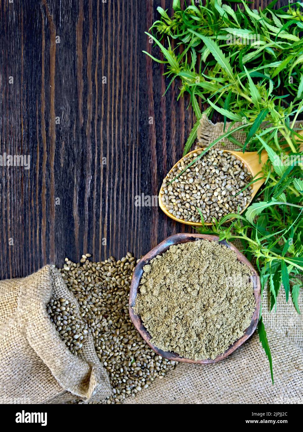 marijuana plant, Hemp Seeds, hemp meal, marijuana plants Stock Photo ...