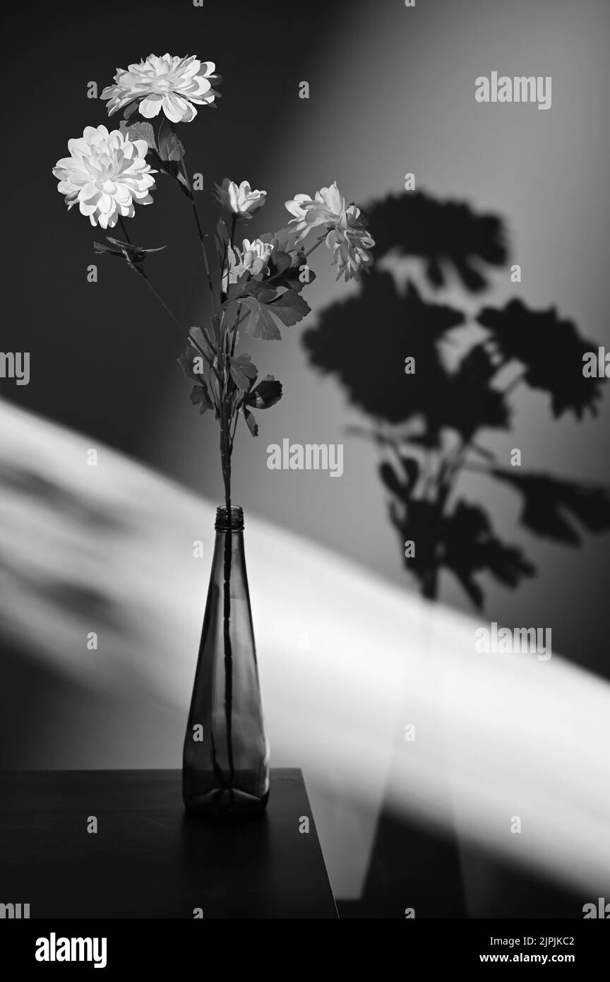 bouquet, shadow, bouquets, shadows Stock Photo - Alamy