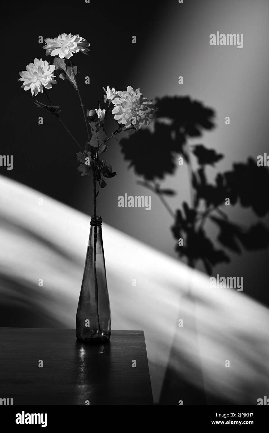 flower, vase, still life, flowers, vases, still lifes Stock Photo - Alamy