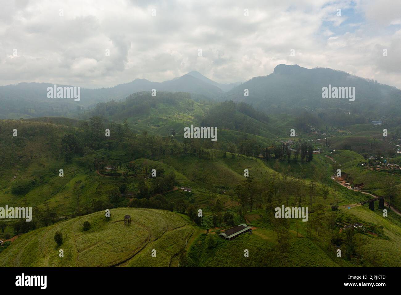 Aerial view of Tea plantations in Sri Lanka. Mountain landscape with ...