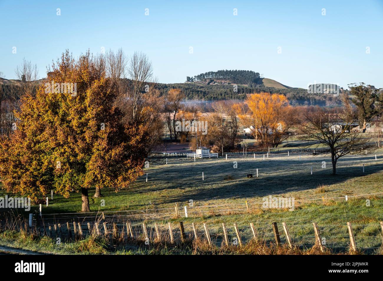 Autumn trees and farm buildings, Waipawa, Hawkes Bay, North Island, New ...