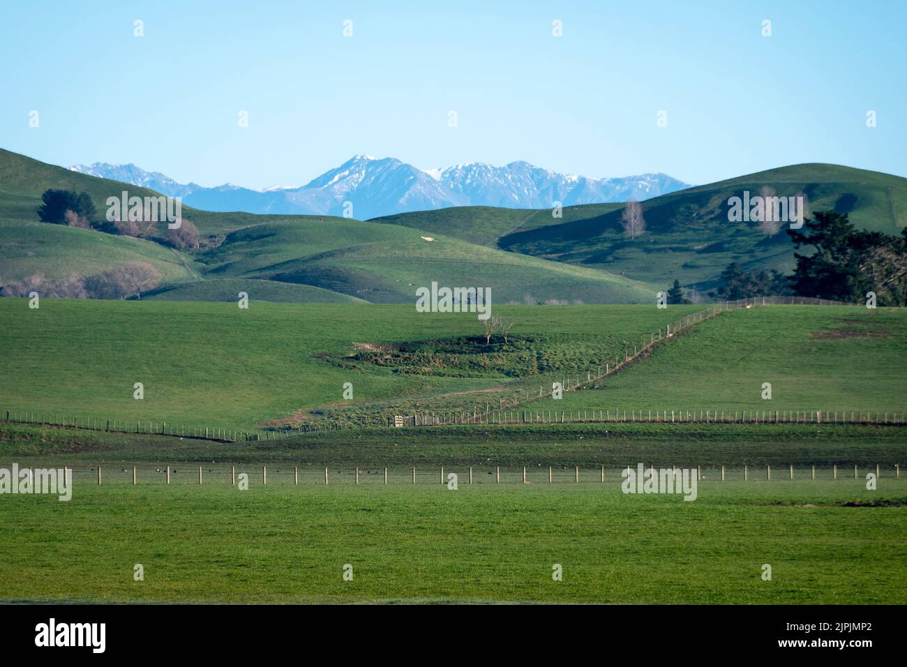 Rolling farmland with mountains in distance, Waipawa, Hawkes Bay, North ...