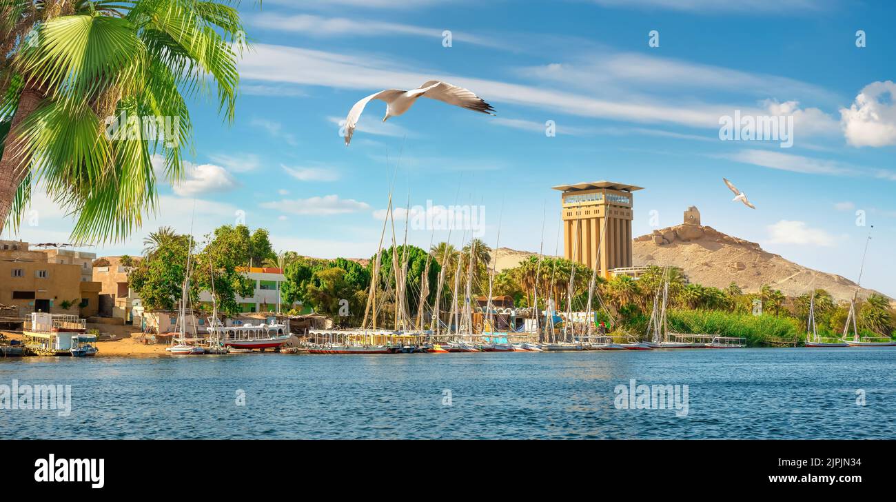 egypt, nile river, nile, egyptian, egypts, nile rivers, niles Stock ...