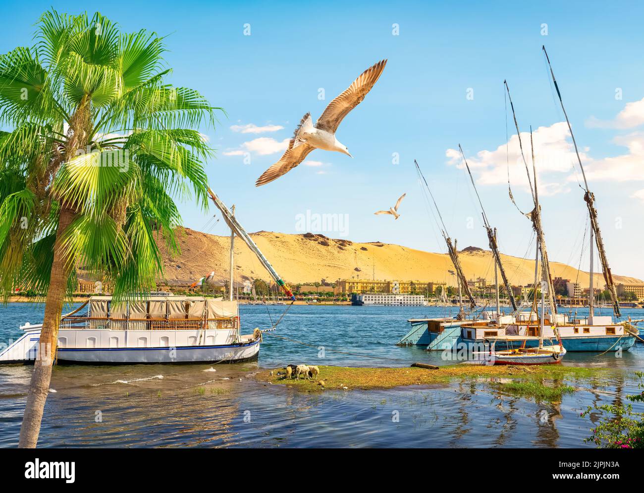 egypt, boats, nile river, egyptian, egypts, boat, nile, nile rivers ...