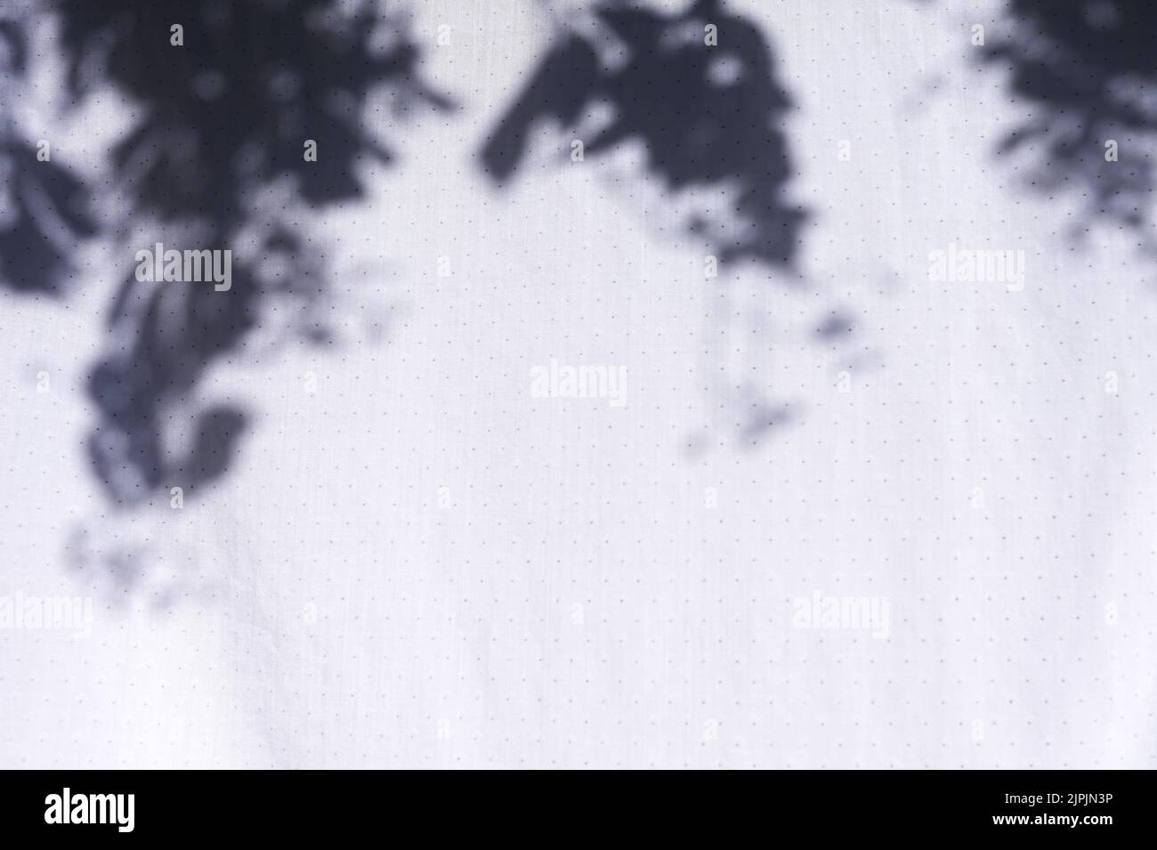 detail of the shadows of branches on a bed sheet Stock Photo - Alamy