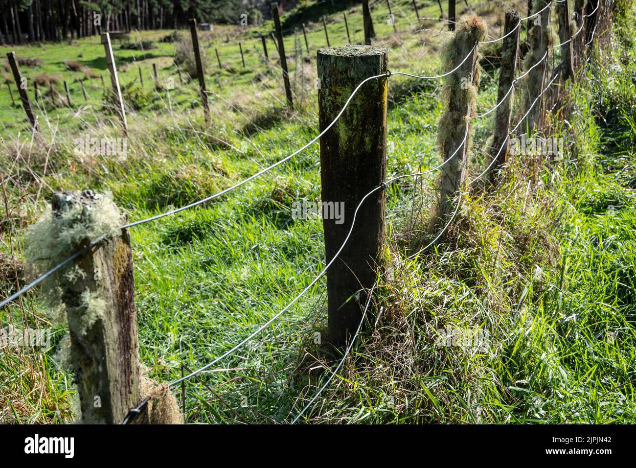 Otaki gorge hi-res stock photography and images - Alamy