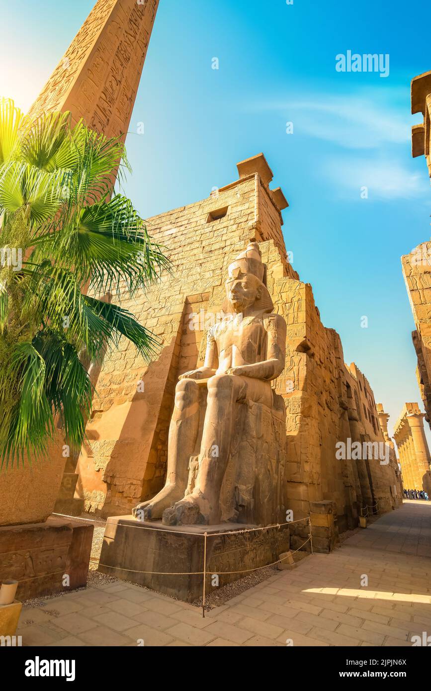 archaeology, pharaoh, luxor temple, archaeologies, pharaohs, luxor ...