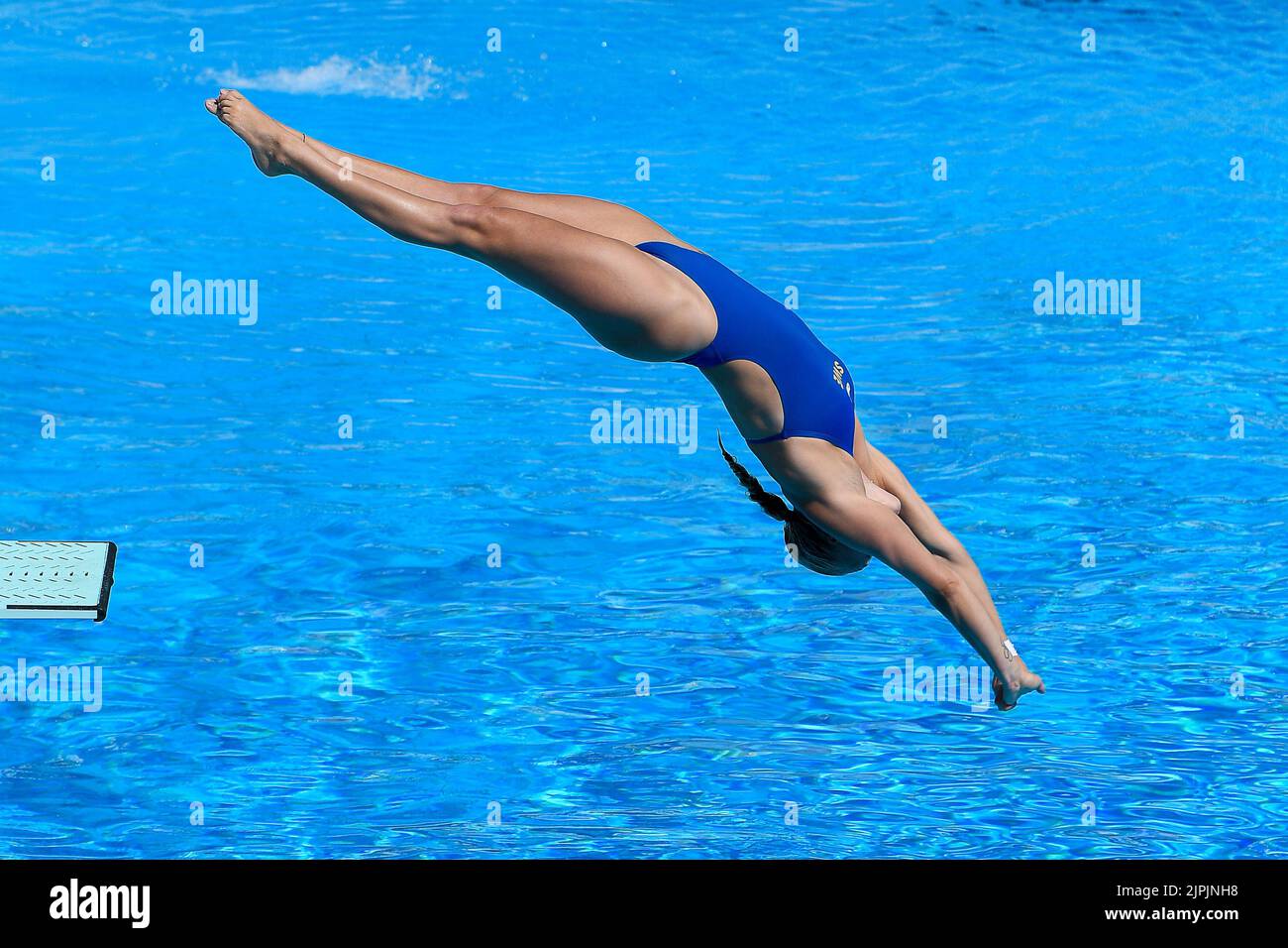Roma, Italy. 16th Aug, 2022. GULLSTRAND Emma SWE Dive WOMEN - 1M ...