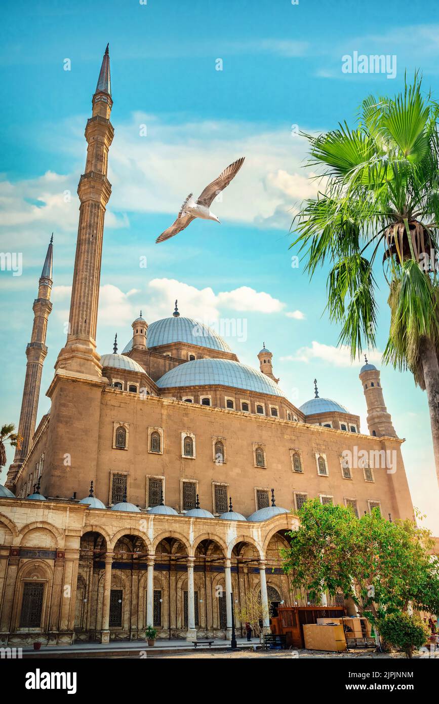 cairo, muhammad ali mosque, cairos Stock Photo - Alamy