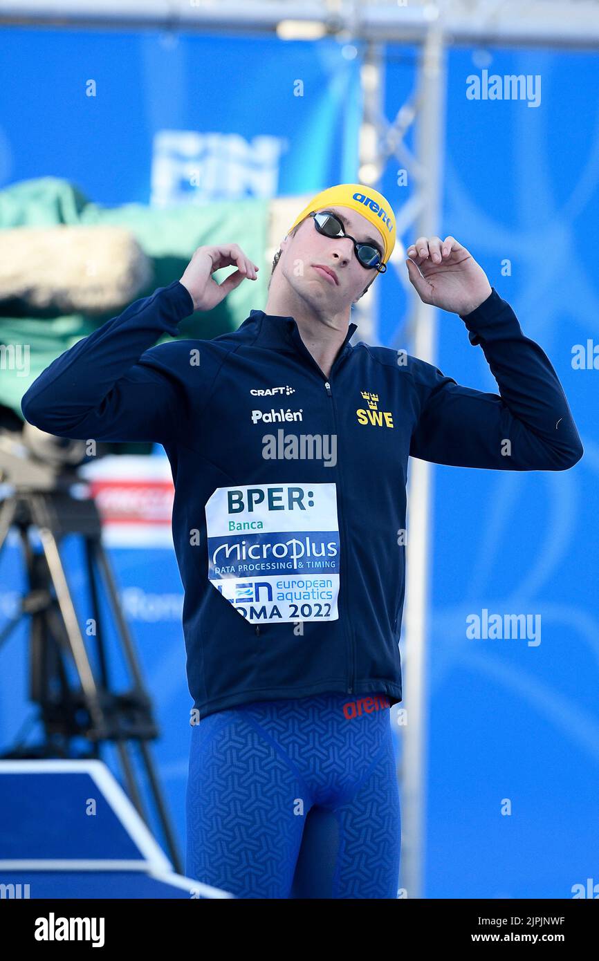 Bjoern seeliger hi-res stock photography and images - Alamy