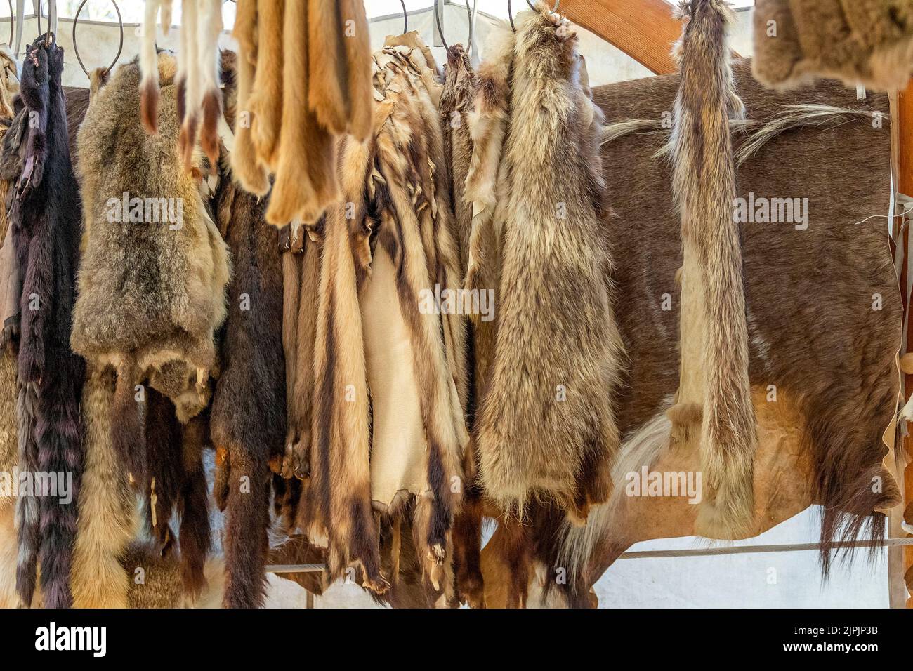 fur, animal hair, furs, animal hairs Stock Photo - Alamy
