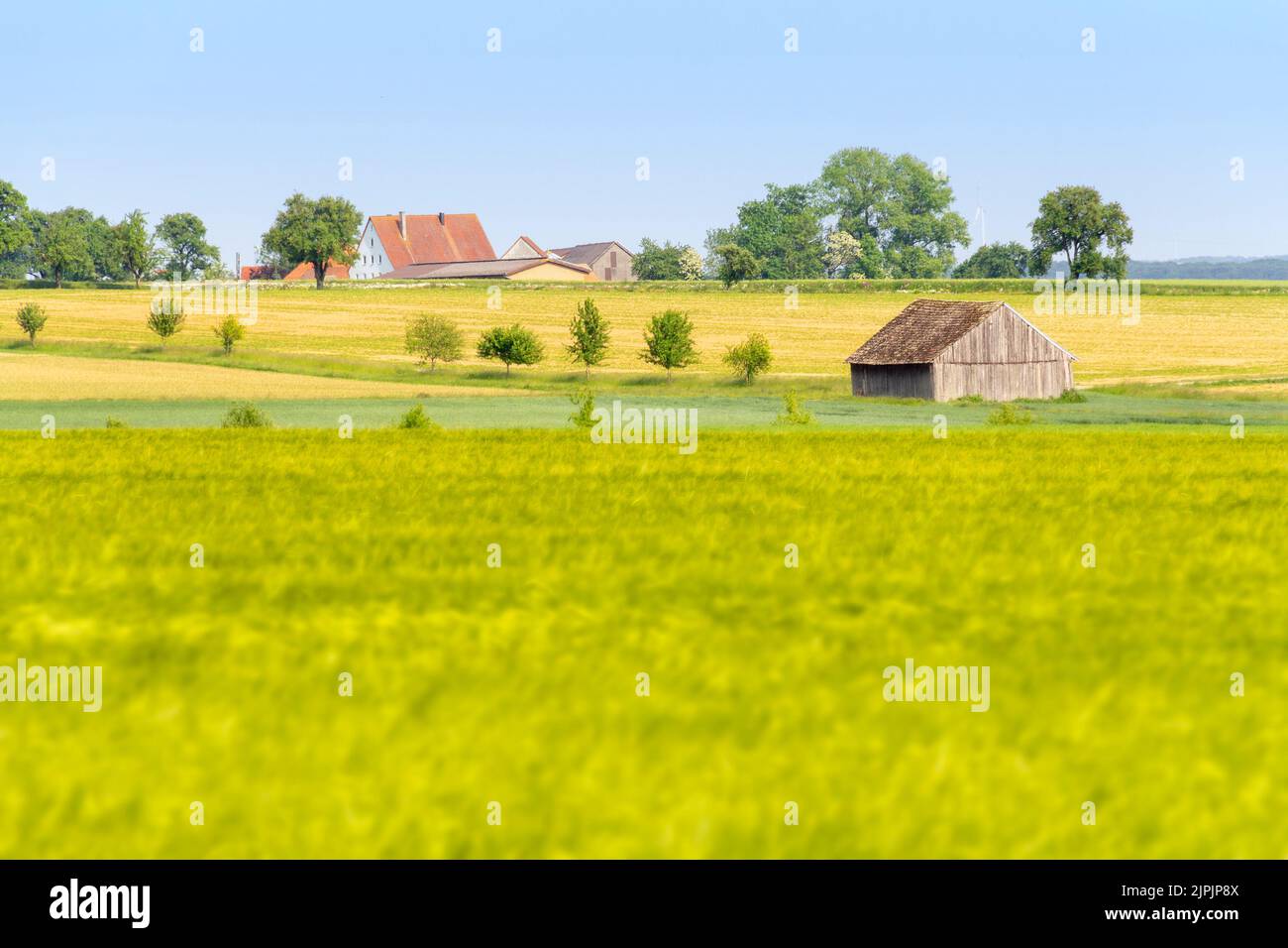 rural scene, fields, barn, country, country life, rural, rural scenes ...