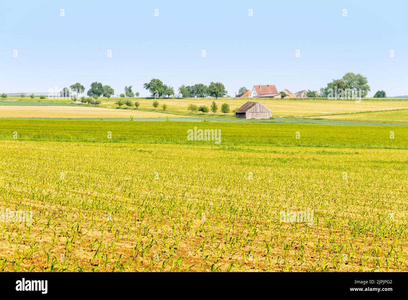 Crops days farms fields hi-res stock photography and images - Alamy
