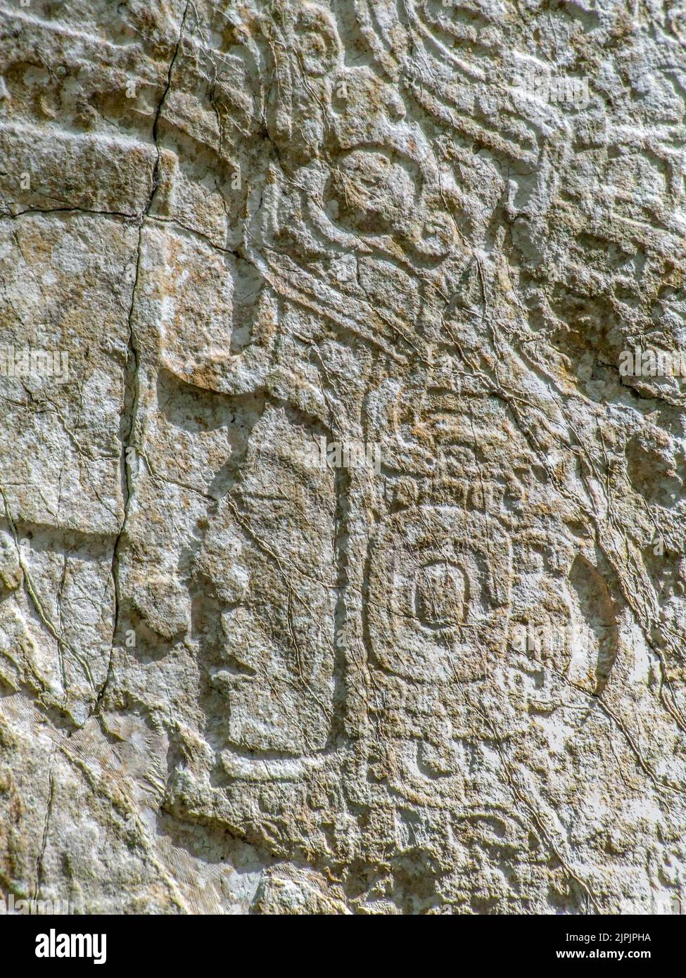 relief, maya ruin, caracol, cayo district, reliefs, ruins Stock Photo ...
