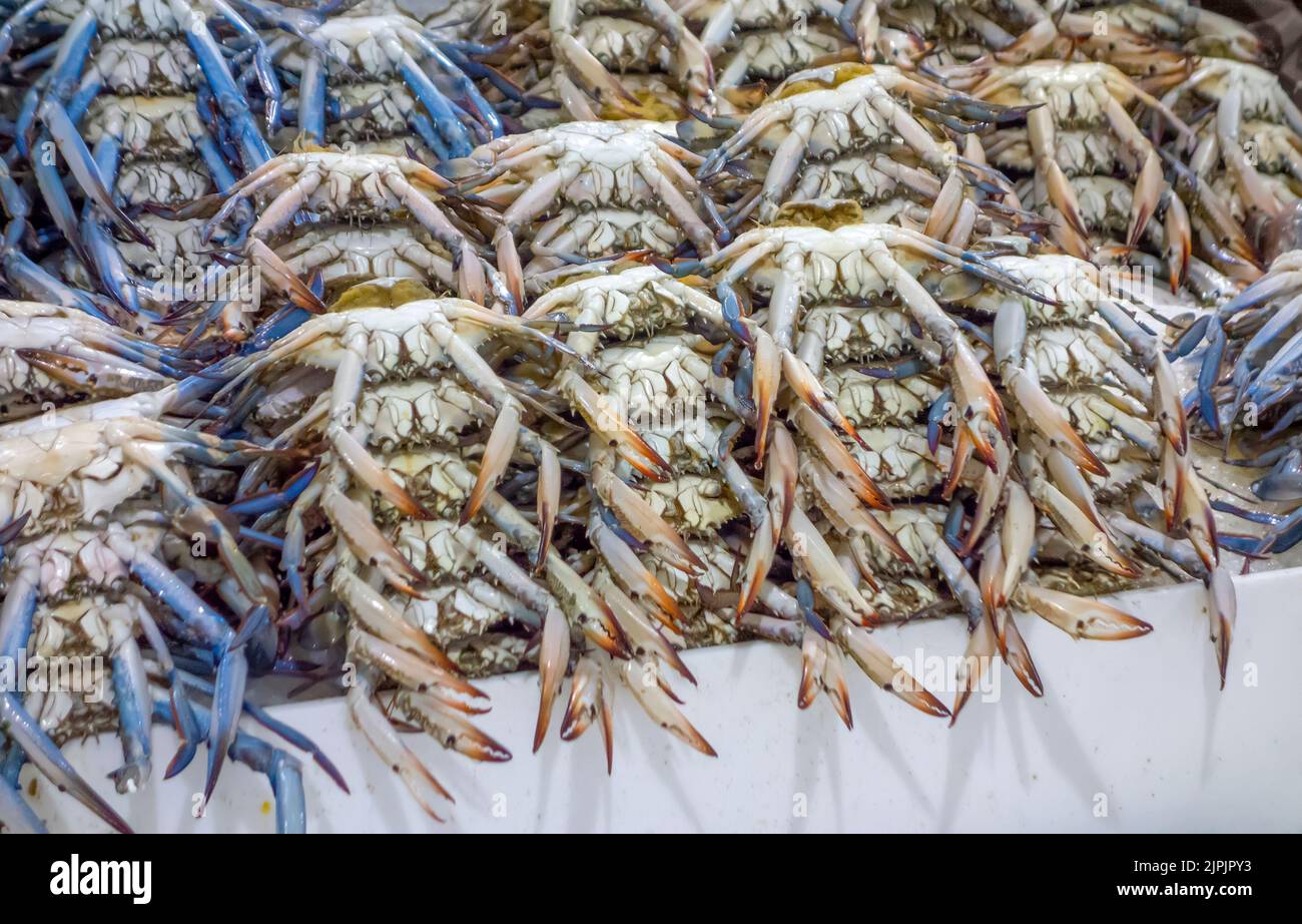 crab, fish market, crustacean, crabs, fish markets, crustaceans Stock Photo - Alamy