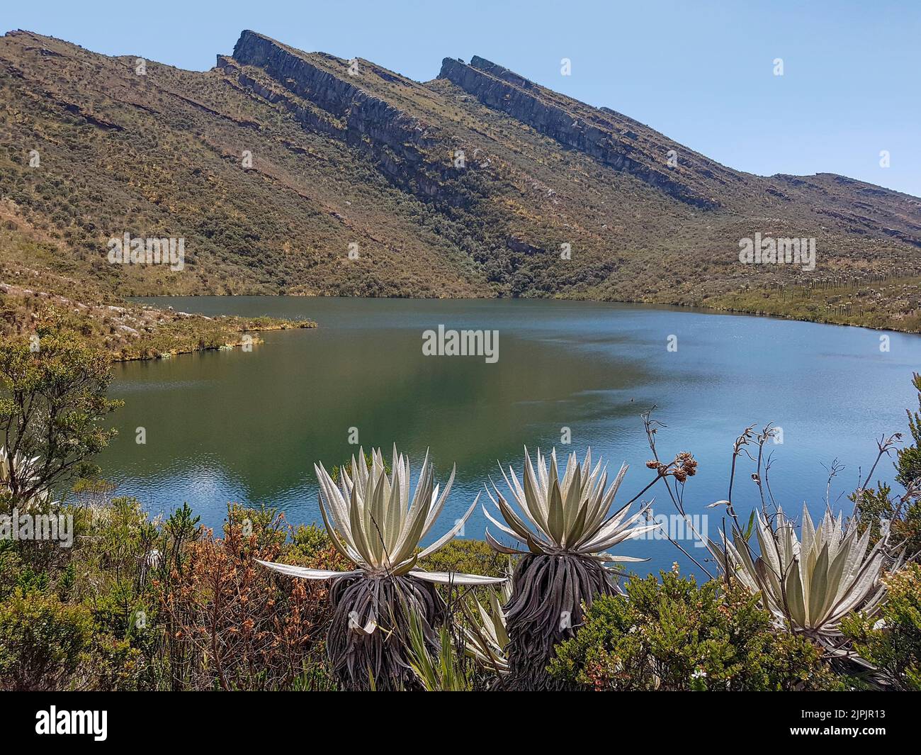 parque nacional natural chingaza, lagunas de siecha Stock Photo - Alamy