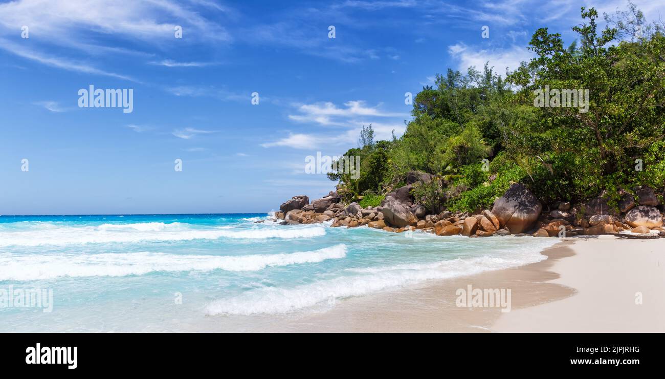 beach, indian ocean, praslin, beaches, seaside, indian oceans, praslins ...