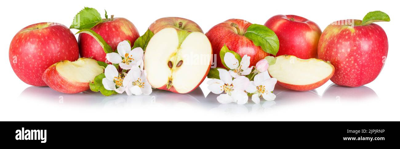 apple, pip fruit, red apple, apples, pip fruits, red apples Stock Photo ...