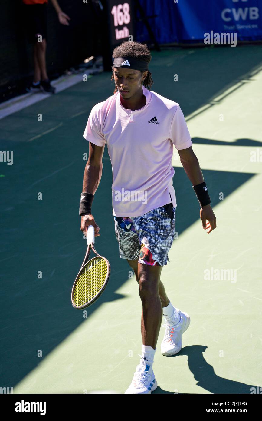 Odlum brown tennis hi-res stock photography and images - Alamy