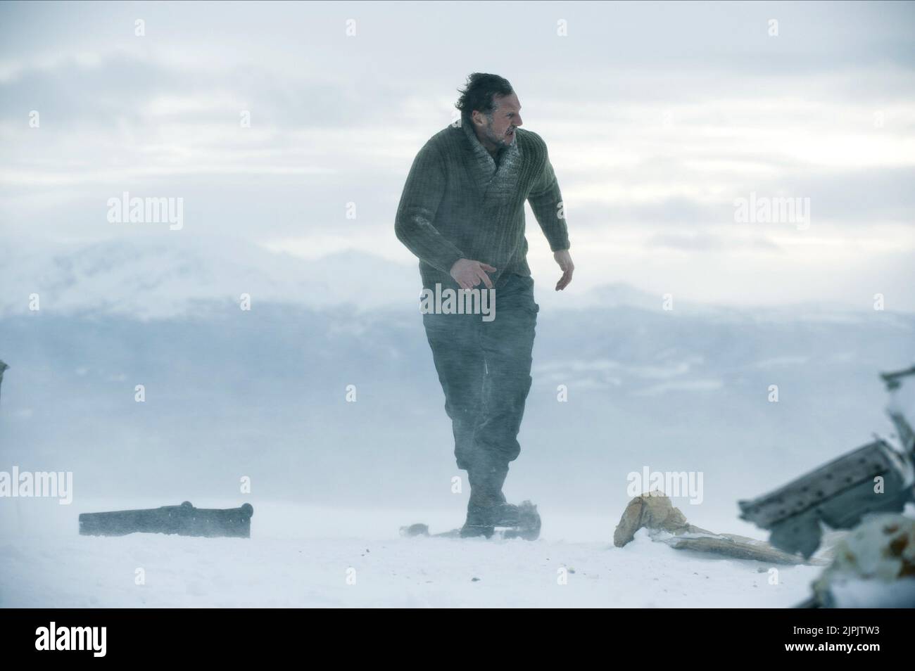 Liam Neeson The Grey