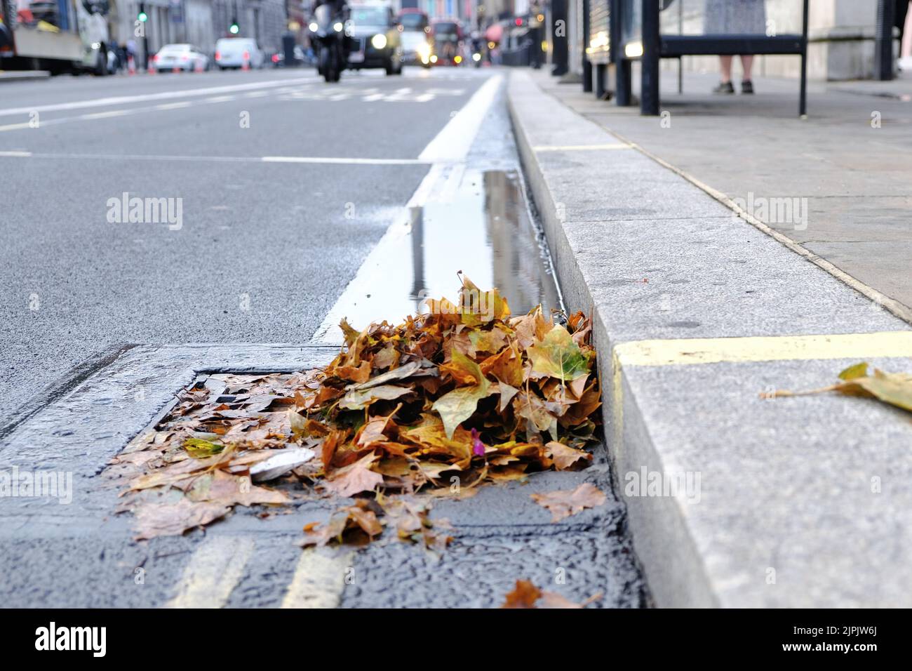 London, UK. Leaves cover and partially block a drain on the side of a ...