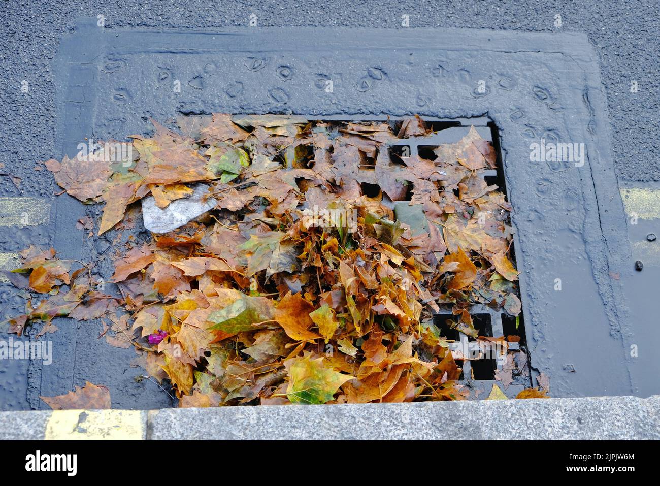 London, UK. Leaves cover and partially block a drain on the side of a ...