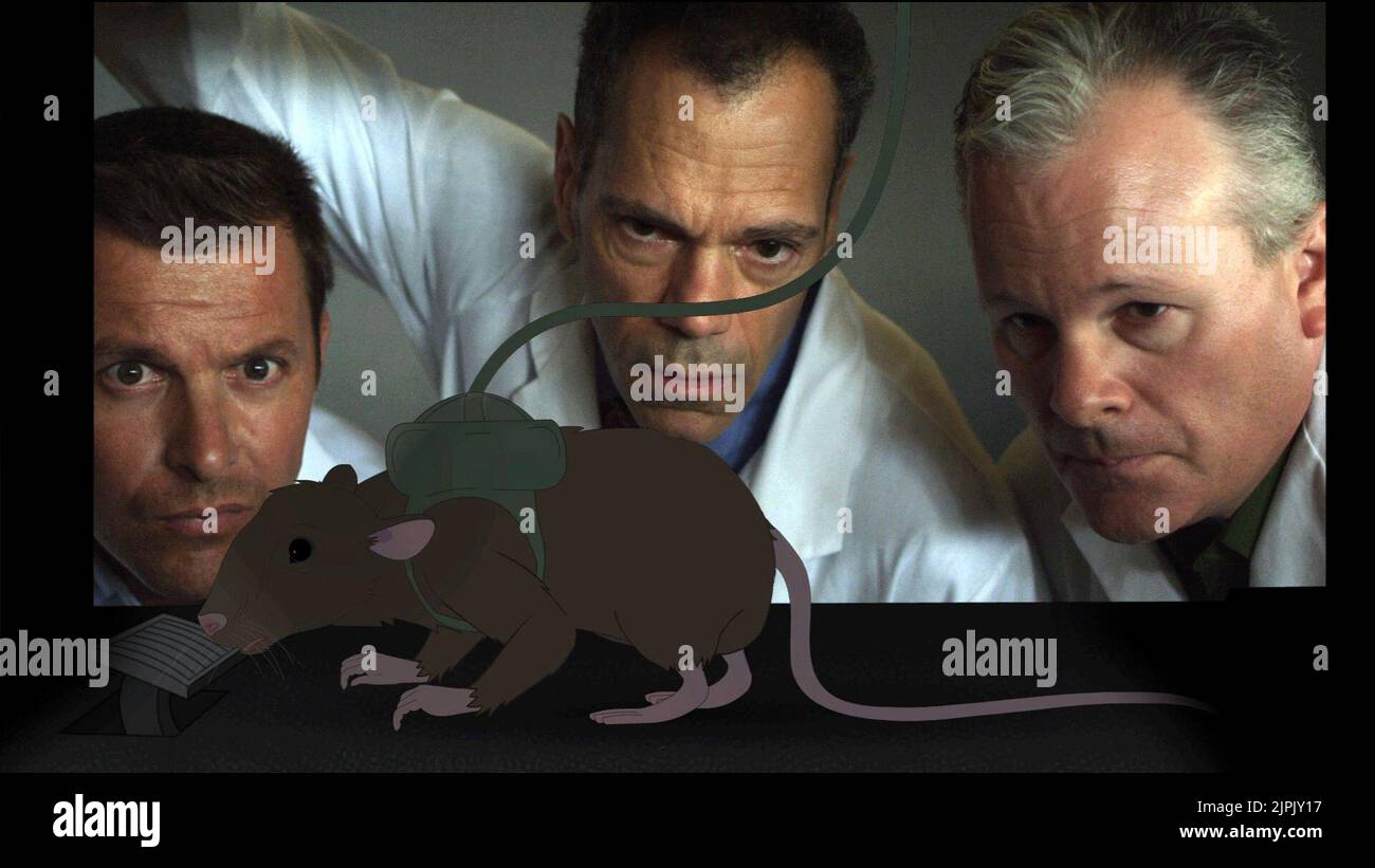 Lab rat hi-res stock photography and images - Alamy