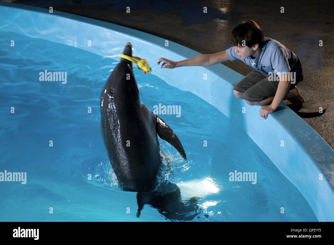 Dolphin tale hi-res stock photography and images - Alamy