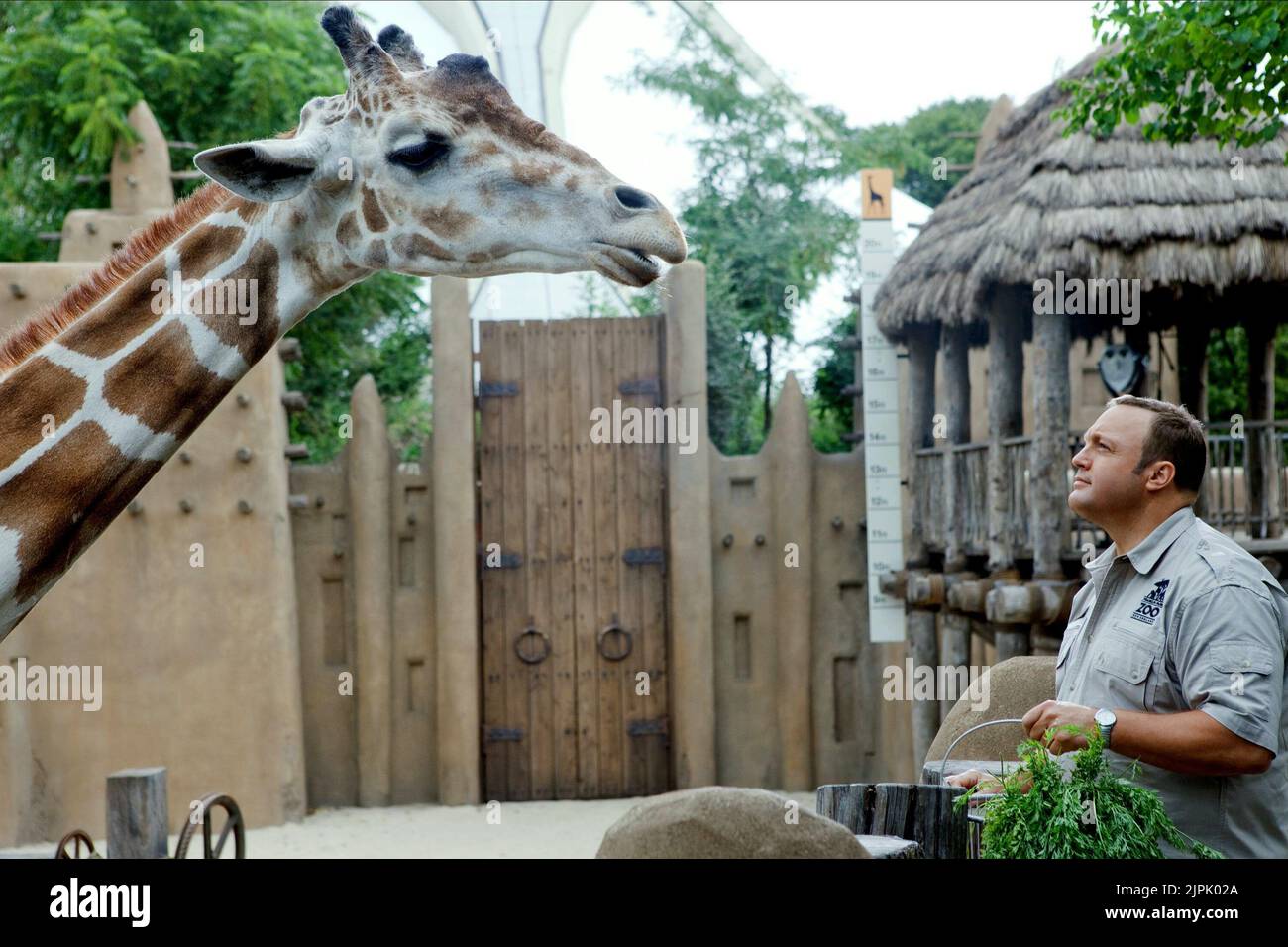 GIRAFFE, KEVIN JAMES, ZOOKEEPER, 2011 Stock Photo - Alamy GIRAFFE, KEVIN JAMES, ZOOKEEPER, 2011 Stock Photo - Alamy