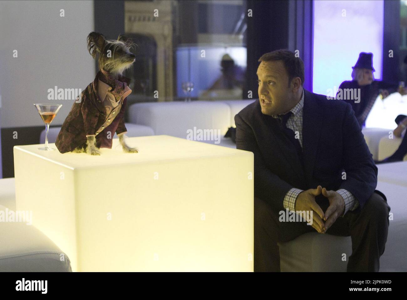 KEVIN JAMES, ZOOKEEPER, 2011 Stock Photo - Alamy KEVIN JAMES, ZOOKEEPER, 2011 Stock Photo - Alamy