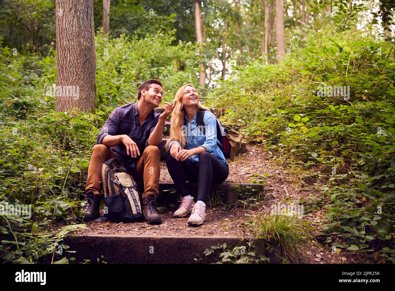 forest, watching, listen, hiker, forests, wood, woodland, woods ...